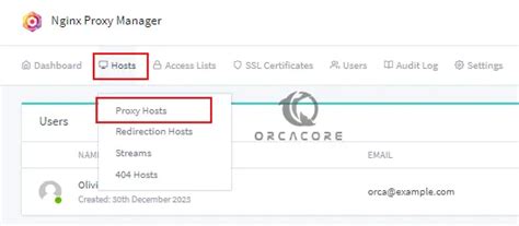 Best Nginx Proxy Manager Setup On Debian 12 Orcacore