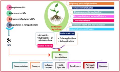Nanomaterials Free Full Text Recent Trends In Nano Fertilizers For Sustainable Agriculture