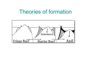 Coastal Processes And Landforms PPT