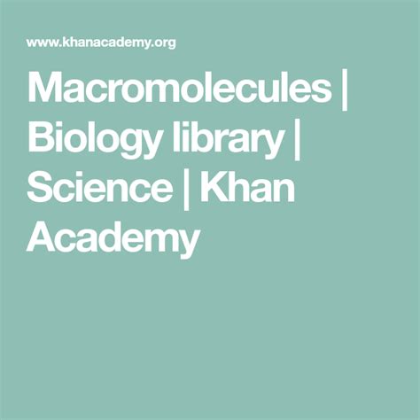 Macromolecules Biology Library Science Khan Academy