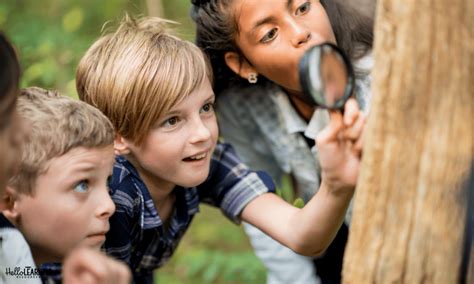 6 Ways To Teach The Scientific Method Hello Learning