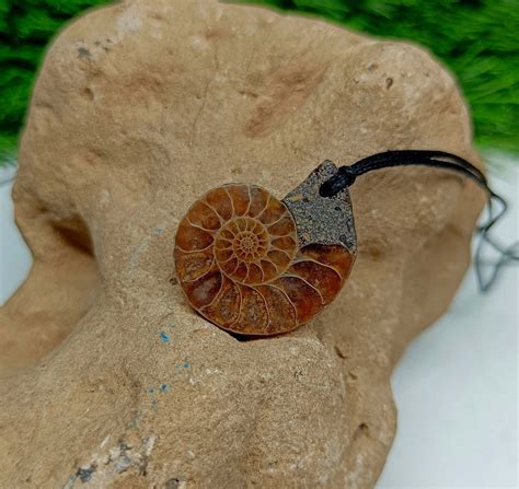 Ammonite Fossil Shell Necklace Real Ammonite Pendant Necklace Natural