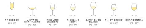 White Wine Serving Temperature Guide The Wine Cellarage