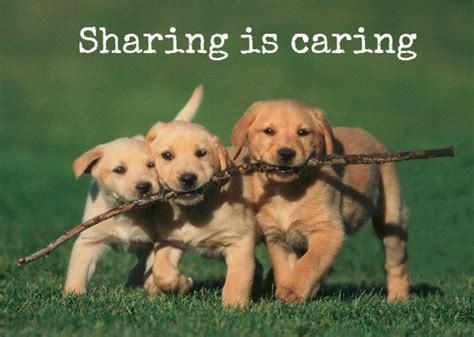 Sharing Is Caring Whatcounts