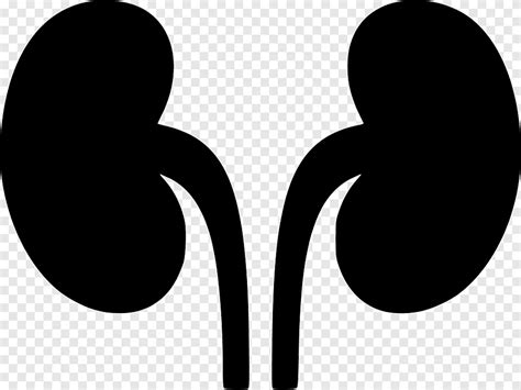 Computer Icons Cdr Text Png PNGEgg