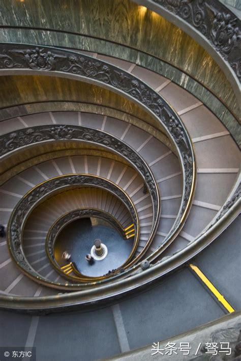 螺旋——自然界最普遍的一种形状 每日头条