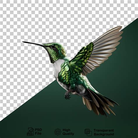 Oiseau Colibri Vert Isol Sur Un Fond Transparent Inclure Un Fichier