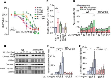 Lysosomal Trpml1 Regulates Mitochondrial Function In Hepatocellular