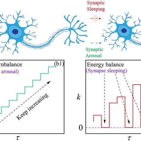The Coupling System With Two Fhn Neurons A Synaptic Modes B1 Energy Download Scientific