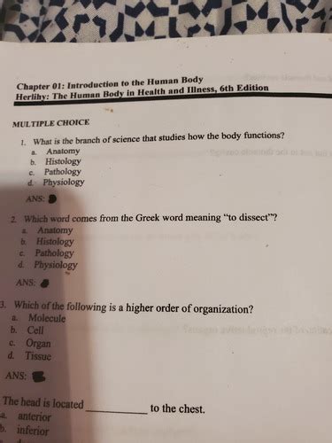Chapter 1 Introduction To The Human Body Flashcards Quizlet
