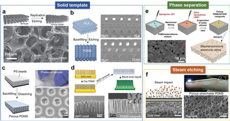 Porous Pdms Substrates Manufactured By Different Methods Are Used In