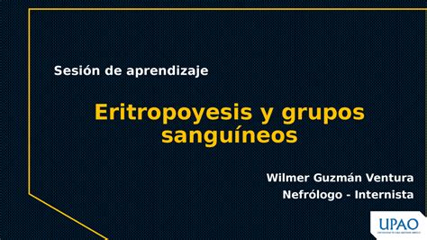 eritropoyesis y sangte diapositivas de fisiología docsity