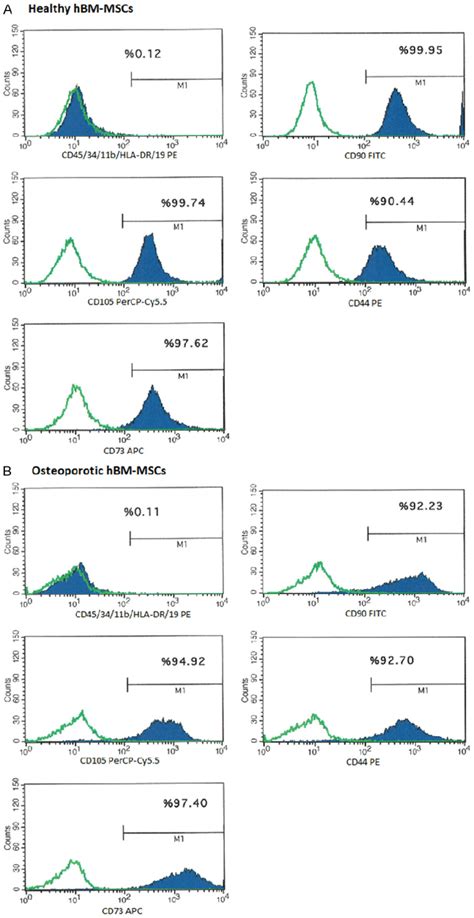Flow Cytometry Analysis Of Hbm Derived Mscs With The Immune Profile Of