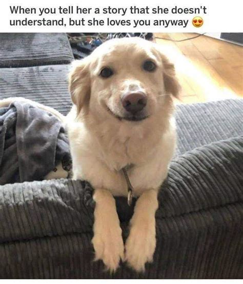 Puppy Eyes Rflirtymemes