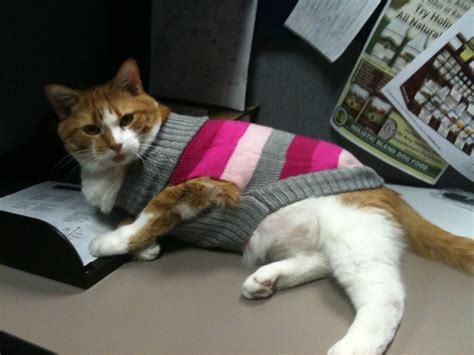 My Secretary Likes To Lay In Seductive Positions On My Desk Rwork