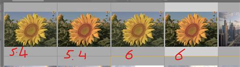 Pl6 Dng Export Options Dxo Photolab Dxo Forum
