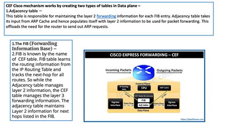 IP Forwarding
