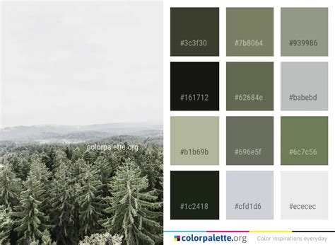 Tree Vegetation Ecosystem Color Palette