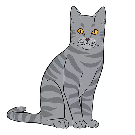 How To Draw A Sitting Cat Easy Drawing Art