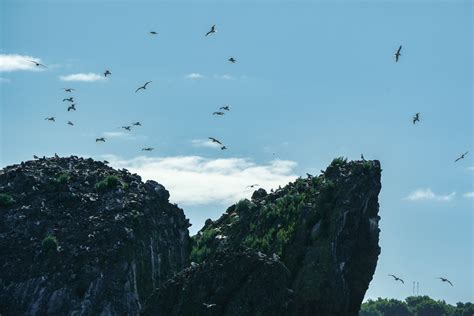 Туры по Камчатке отель Kamchatka Chalet 5