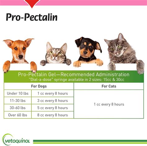 Pro Pectalin Digestive Health And Probiotic Supplement Chicken Flavored