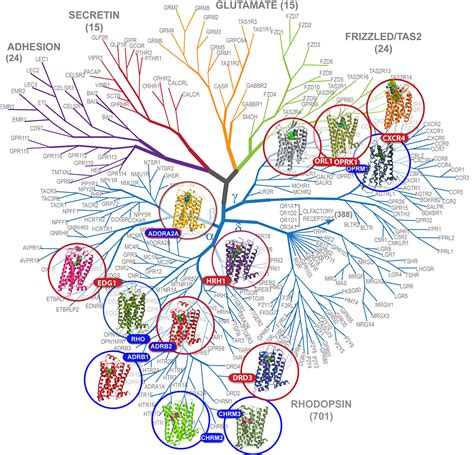 Pdb 101 Learn Structural Biology Highlights Introduction