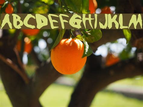 Bleeding Trough Font