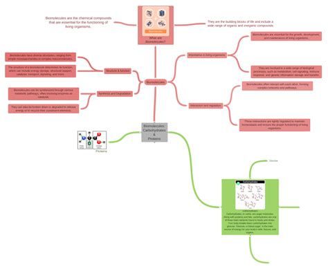 Biomolecules Carbohydrates And Proteins Coggle Diagram