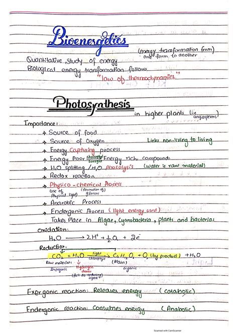 SOLUTION Biology Bioenergetics Notes For Exames Studypool