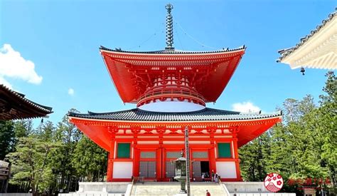 和歌山自由行推薦景點「高野山」：世界遺產金剛峰寺、必吃胡麻豆腐美食、一晚8萬日圓高級宿坊！ 樂吃購！日本 關西版