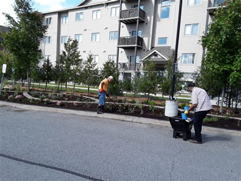 Landscaping At Snmc Snmc Newsletter