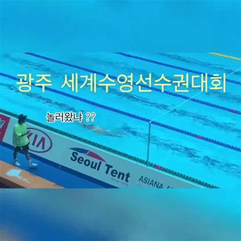 박하나 수영 영상광주세계수영선수권대회 Youtube