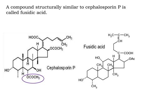 Cephalosporin Beta Lactam Antibiotic Ppt