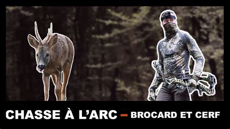 Chasse A Larc Fr Cerfs Et Brocards 2020 Bowhunting Youtube