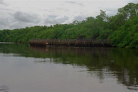 Área de Proteção Ambiental Costa dos Corais protege km de corais