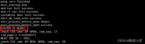 Dmdsc共享存储集群——搭建部署教程dmdsc部署问题 Csdn博客