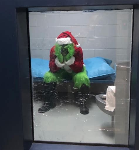 Cops Arrest Grinch For Stealing Christmas Jersey Shore Online