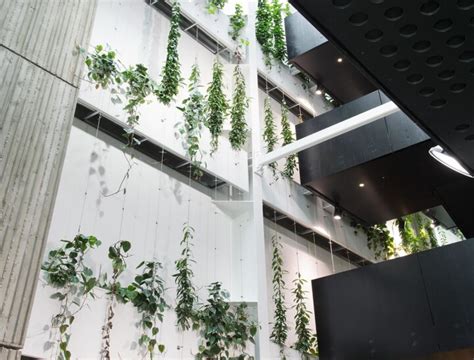 Lane Neave Building Chch Asona