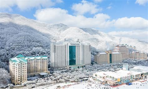 겨울 여행을 위한 강원도 호텔 추천 7곳