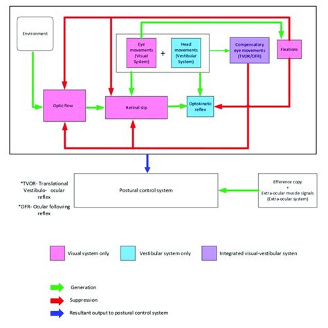 Conceptual Model Of Visual Vestibular Interaction To Differentiate