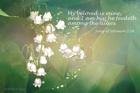 Lily Of The Valley And Bible Verse Photograph By Paul Giglia Pixels