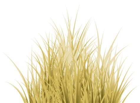 Yellow Grass Pngs For Free Download