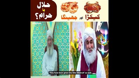 کیکڑا اور جھینگا کھانا کیسا؟حلال یا حرام؟ Youtube