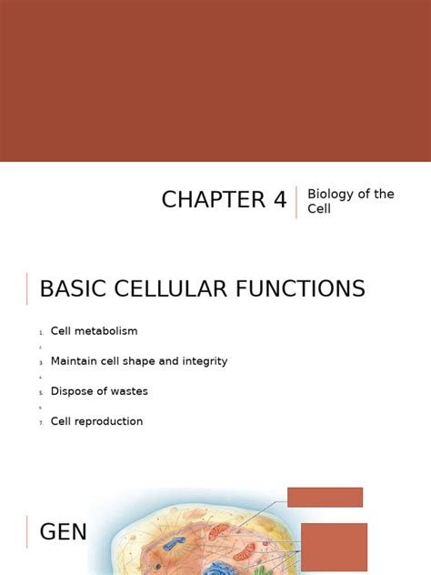 Hsci 101 Chapter 4 Fall 2023 Pdf
