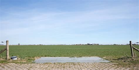 Cattle Grid Background Images Hd Pictures And Wallpaper For Free Download Pngtree