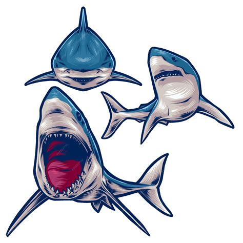 Premium Vector Shark