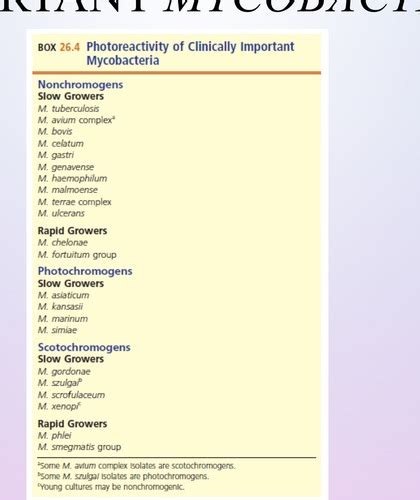 Microbiology Exam Flashcards Quizlet