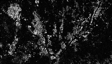 Example Of Coherence Image Of An Ers Interferogram With ∆ T 350 Days Download Scientific