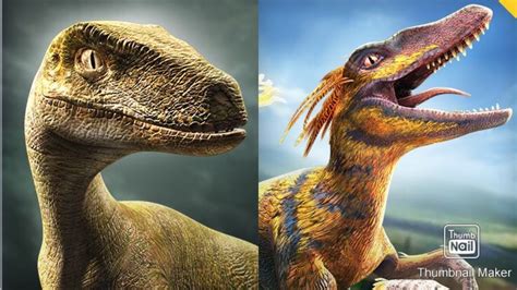 Pyroraptor Wallpapers Wallpaper Cave