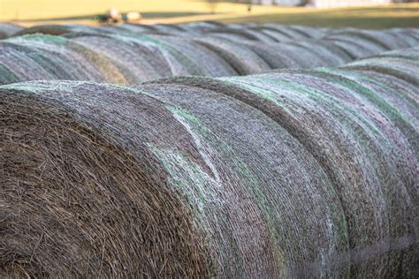 Forage Testing Ohio State University Extension In Allen County